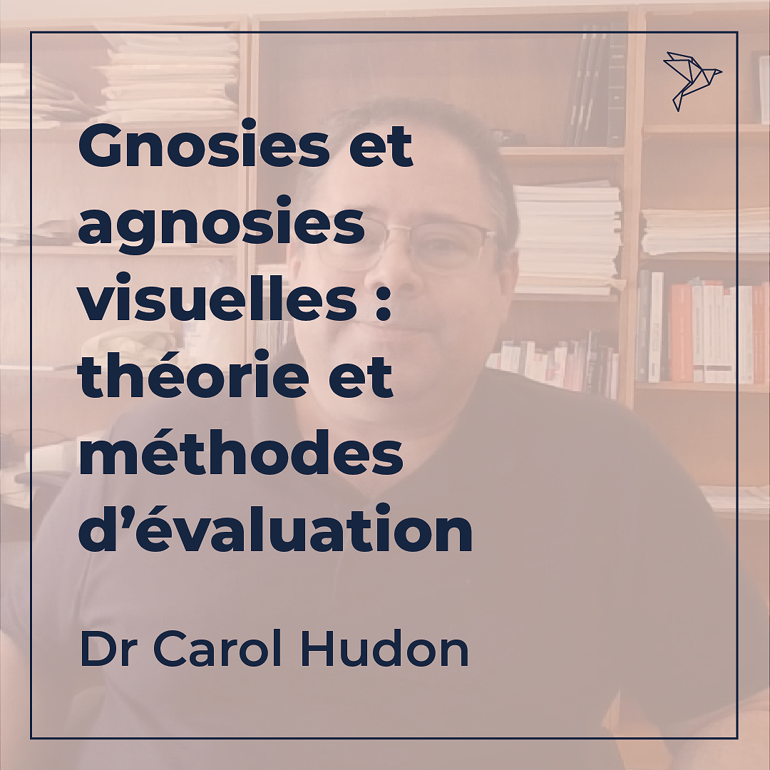 Formation : Les gnosies et agnosies visuelles
